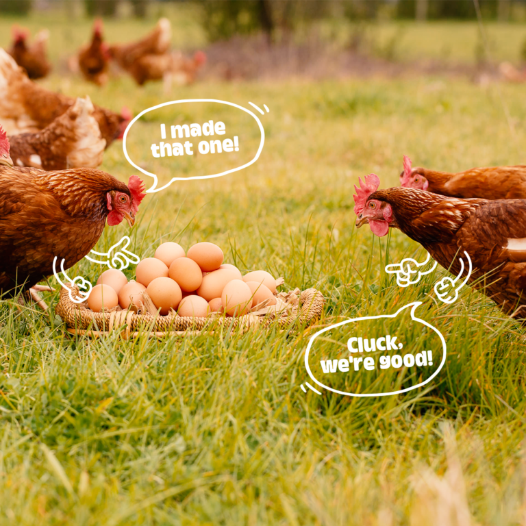 Better Eggs: A Clucking Great Brand Launch | Mosh Social Media